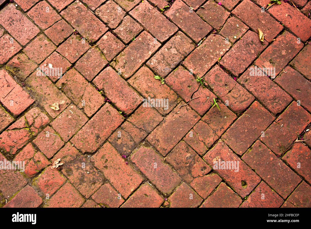 Stone paveway hi-res stock photography and images - Alamy