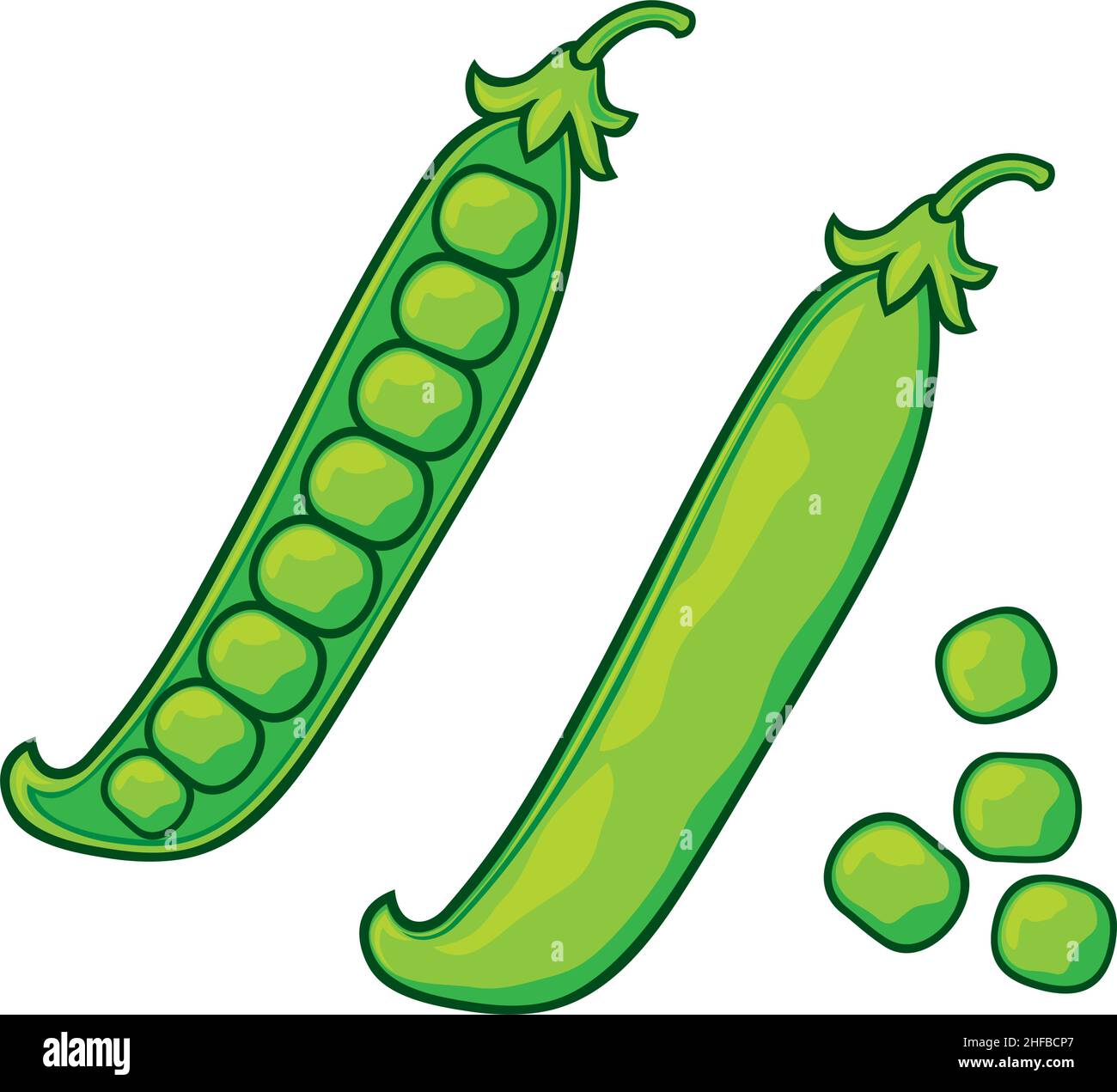 Green peas vegetable vector illustration Stock Vector Image & Art - Alamy