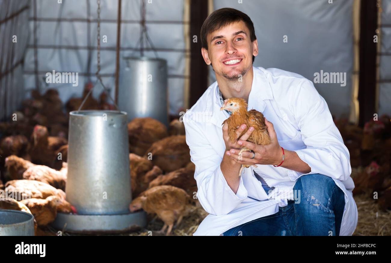 Poultry veterinarian hi-res stock photography and images - Alamy