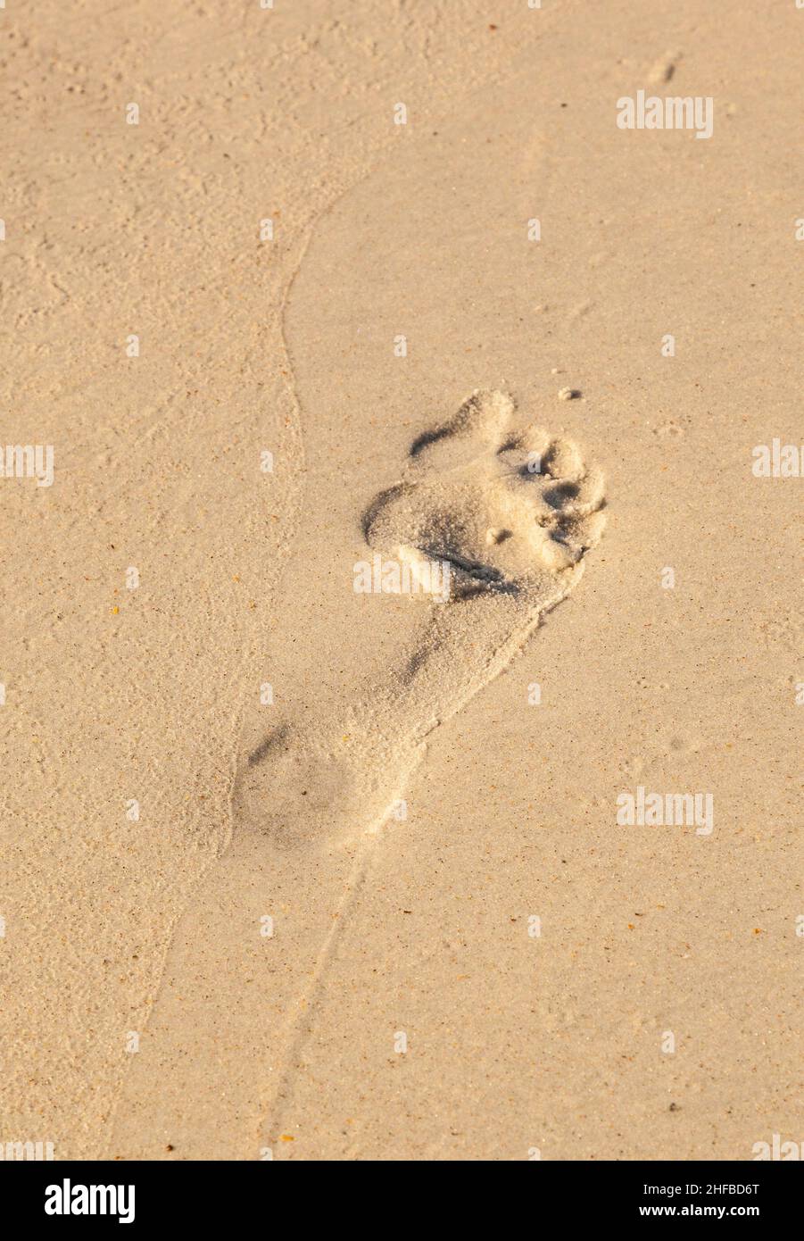 footprints at the beach in fine sand Stock Photo - Alamy