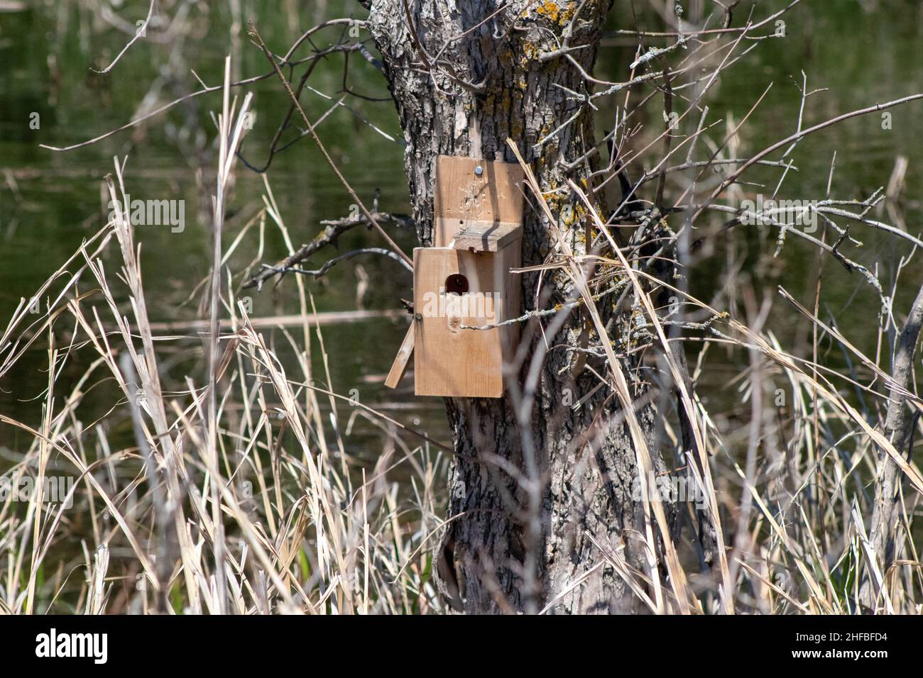 Artificial nesting box for birds hi-res stock photography and images ...