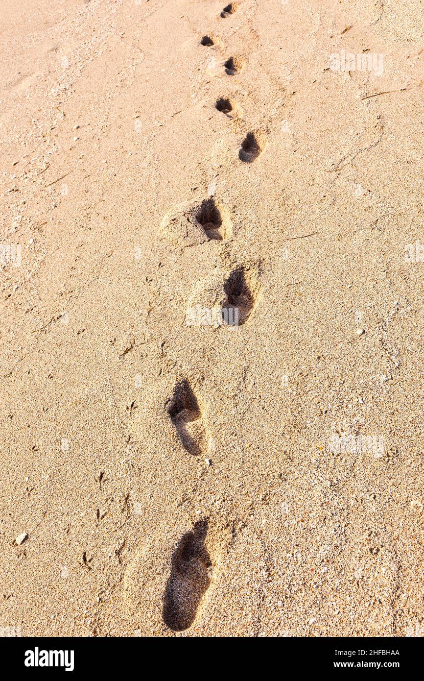 foot steps at the sandbeach Stock Photo - Alamy