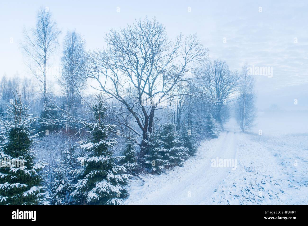 The first snow hi-res stock photography and images - Alamy