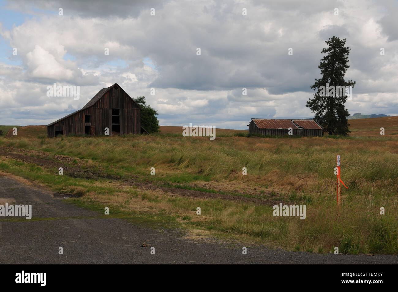 Southern Idaho /NezPerce county/Idaho /USA 23 June 2018. .Life and ...