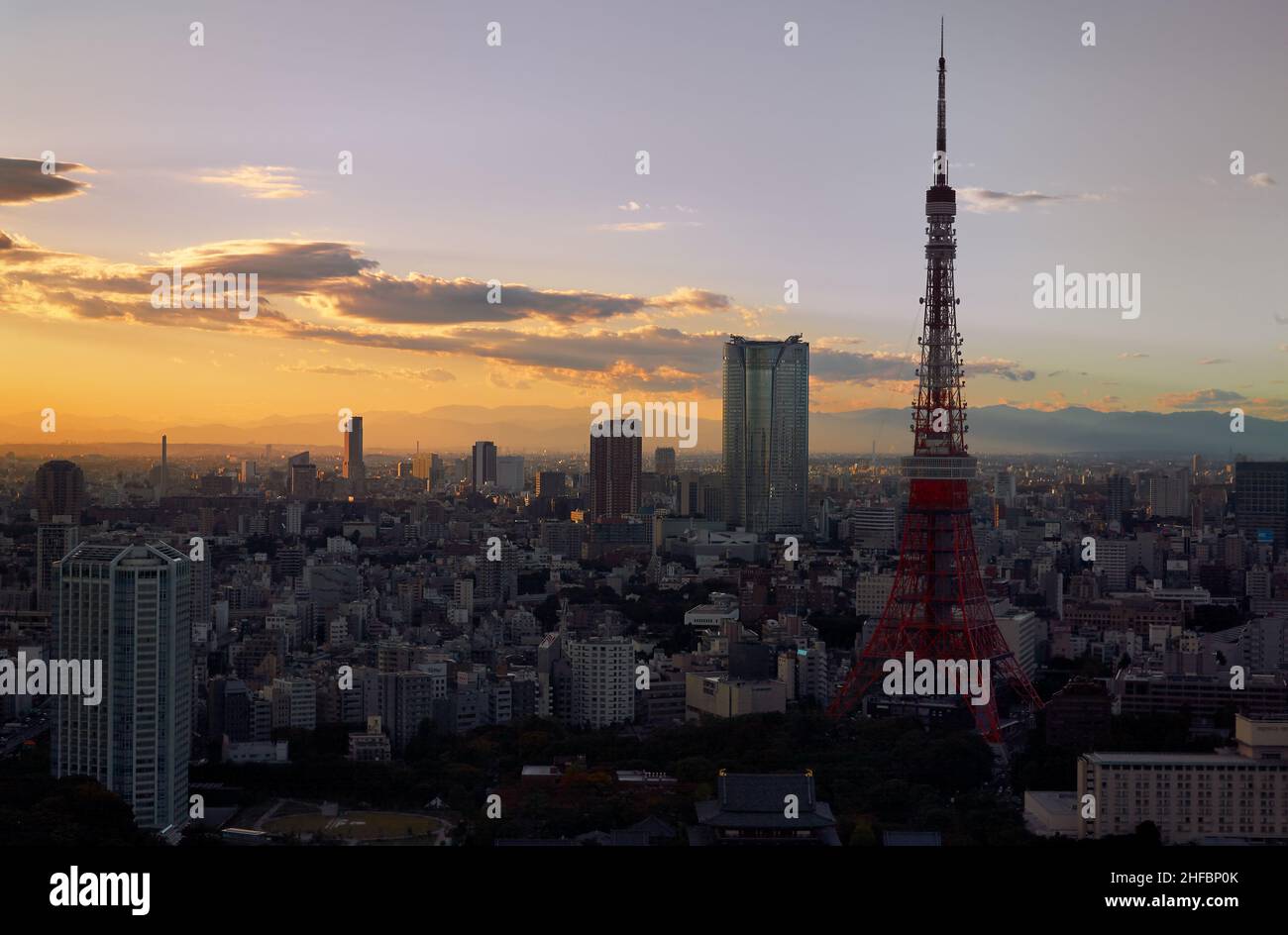 Tokyo, Japan – November 13, 2007: Skyline of Shiba-koen district of Minato with the prominent ...