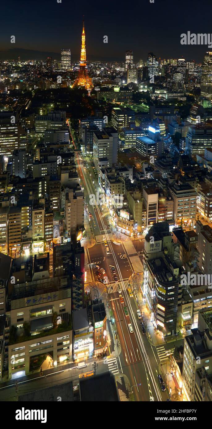 Shiba mori hi-res stock photography and images - Alamy