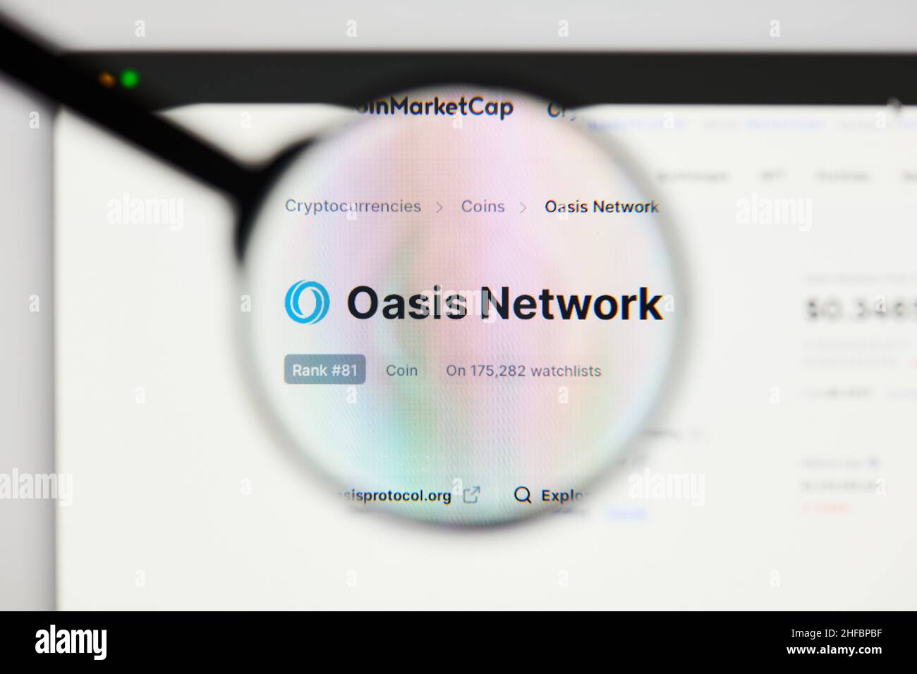 Oasis network rose hi-res stock photography and images - Alamy