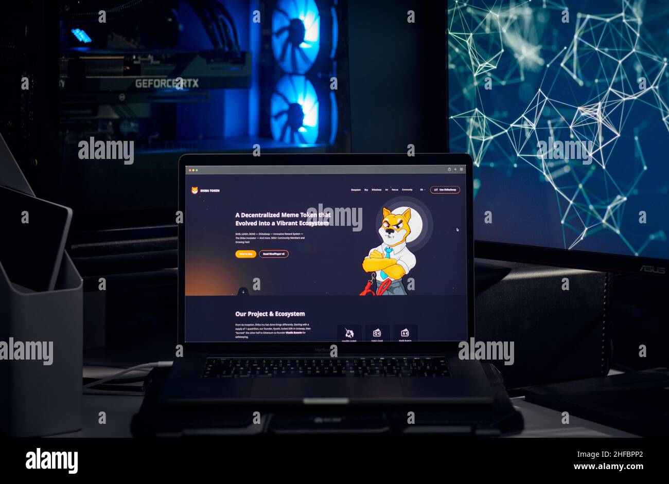 Milan, Italy - January 11, 2022: shiba inu - SHIB website's hp seen on ...