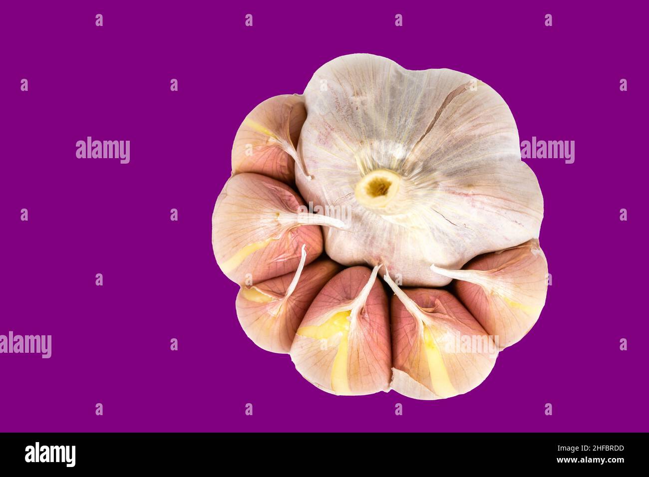 Garlic in vibrant color background Stock Photo - Alamy