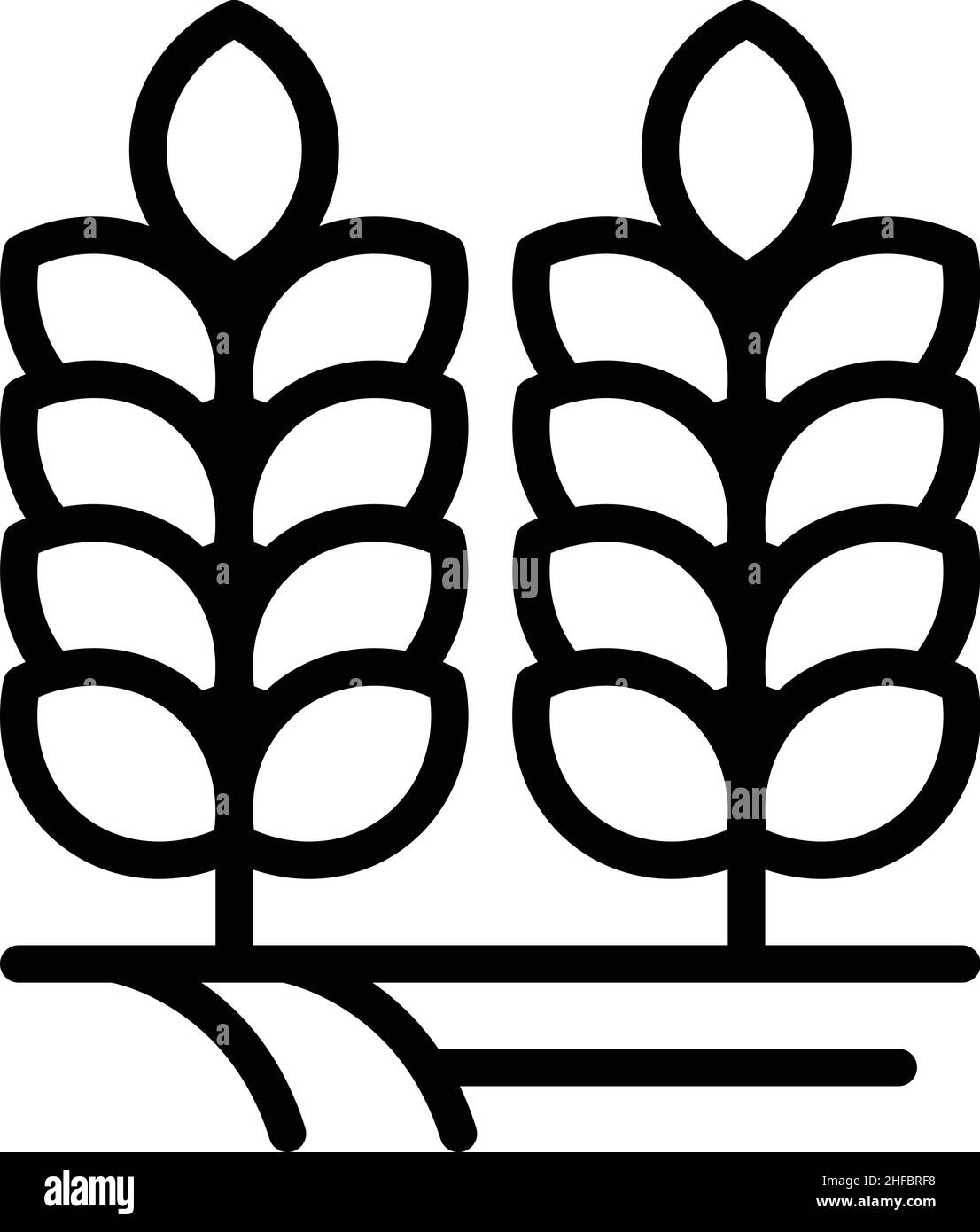 Wheat plant icon outline vector. Hops plant. Grain farm Stock Vector ...