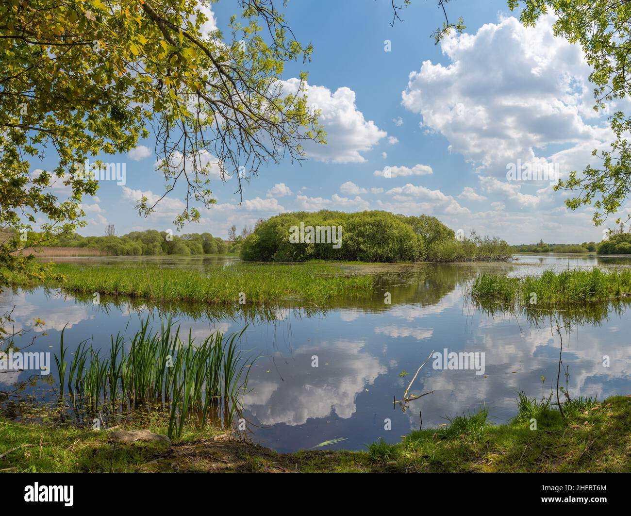 Beautiful reflection on a protected swamp near to Nantes in France ...