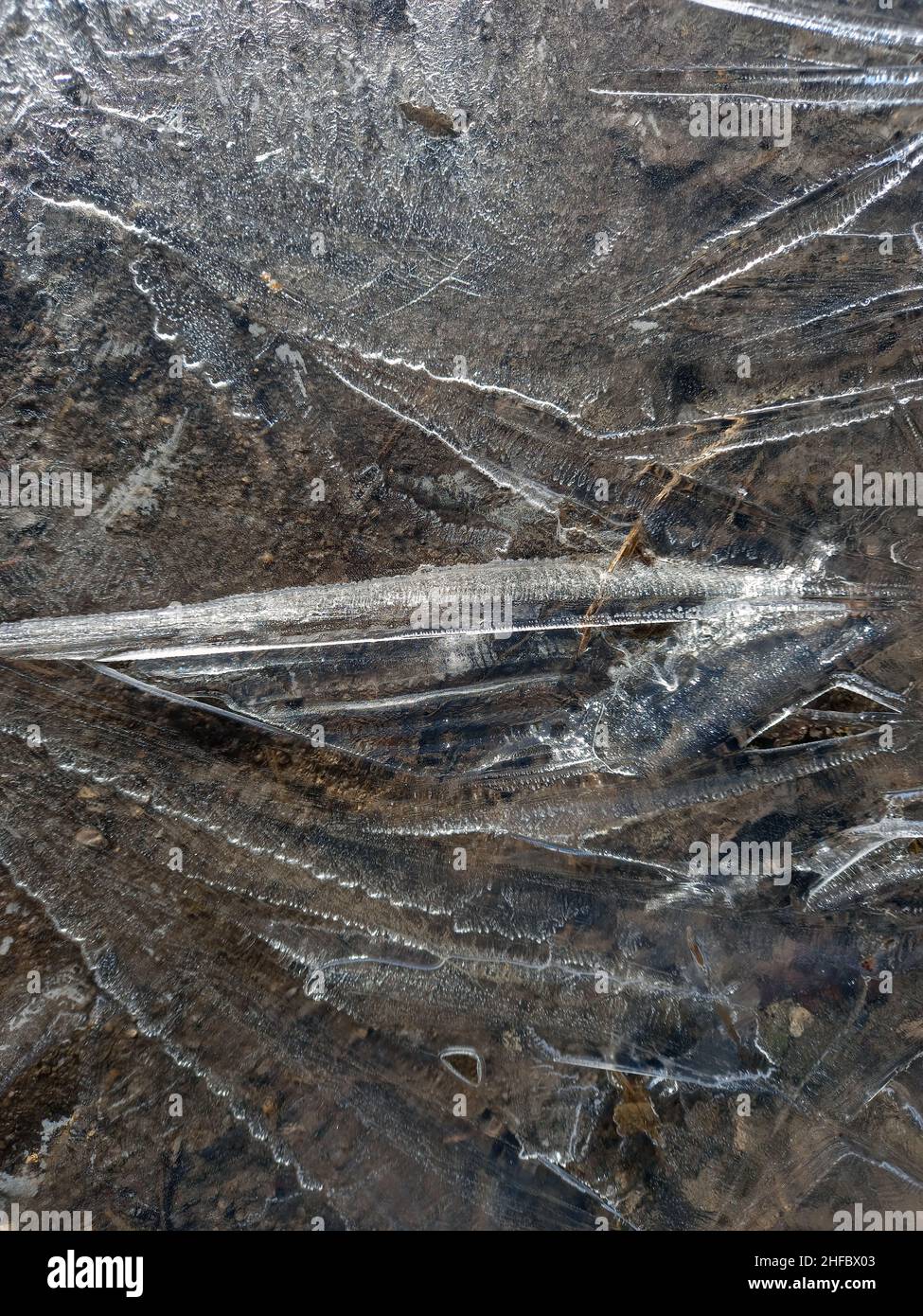 Thin, brittle ice early in the morning on a puddle. First frosts. High ...