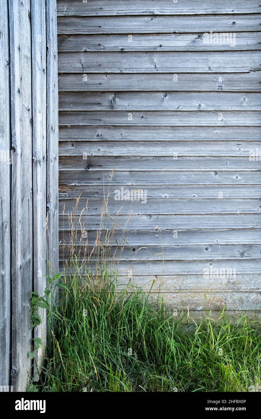 Walls made of wooden boards and a corner of an old wooden house. Copy ...