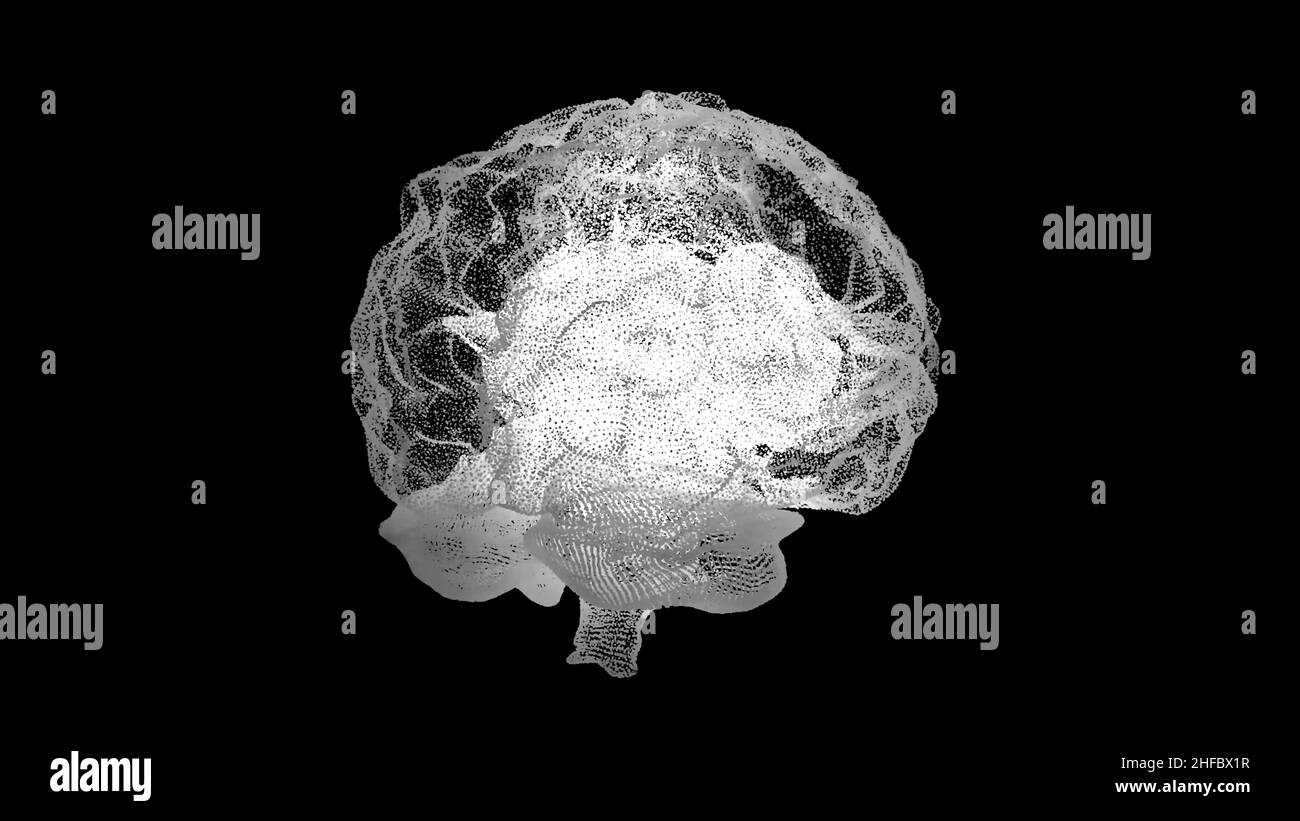3d render xray style image of human brain rotating. Human brain being ...