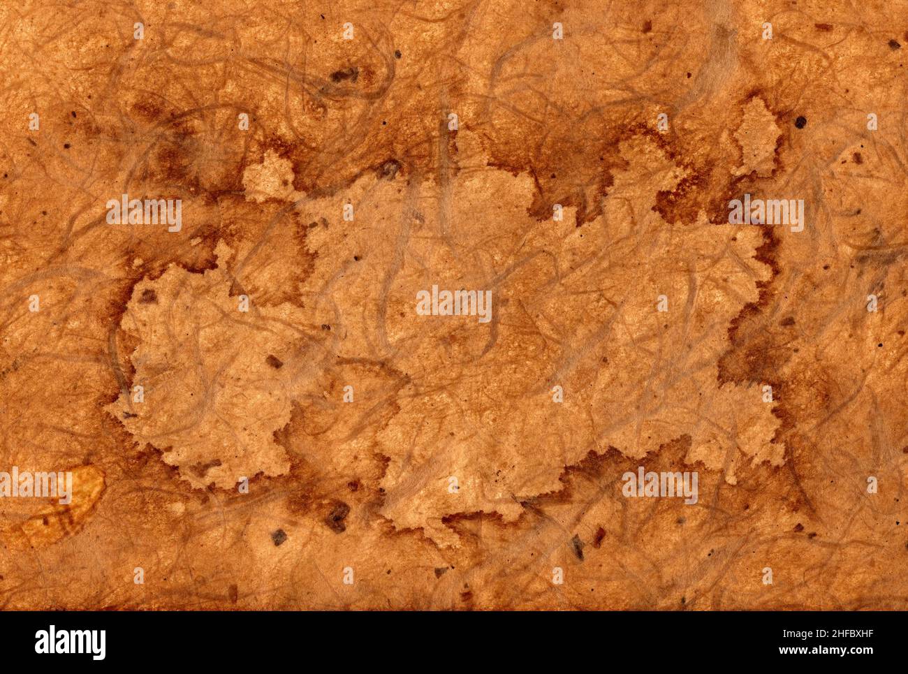 Old brown, stained blank parchment paper background which has an aged ...