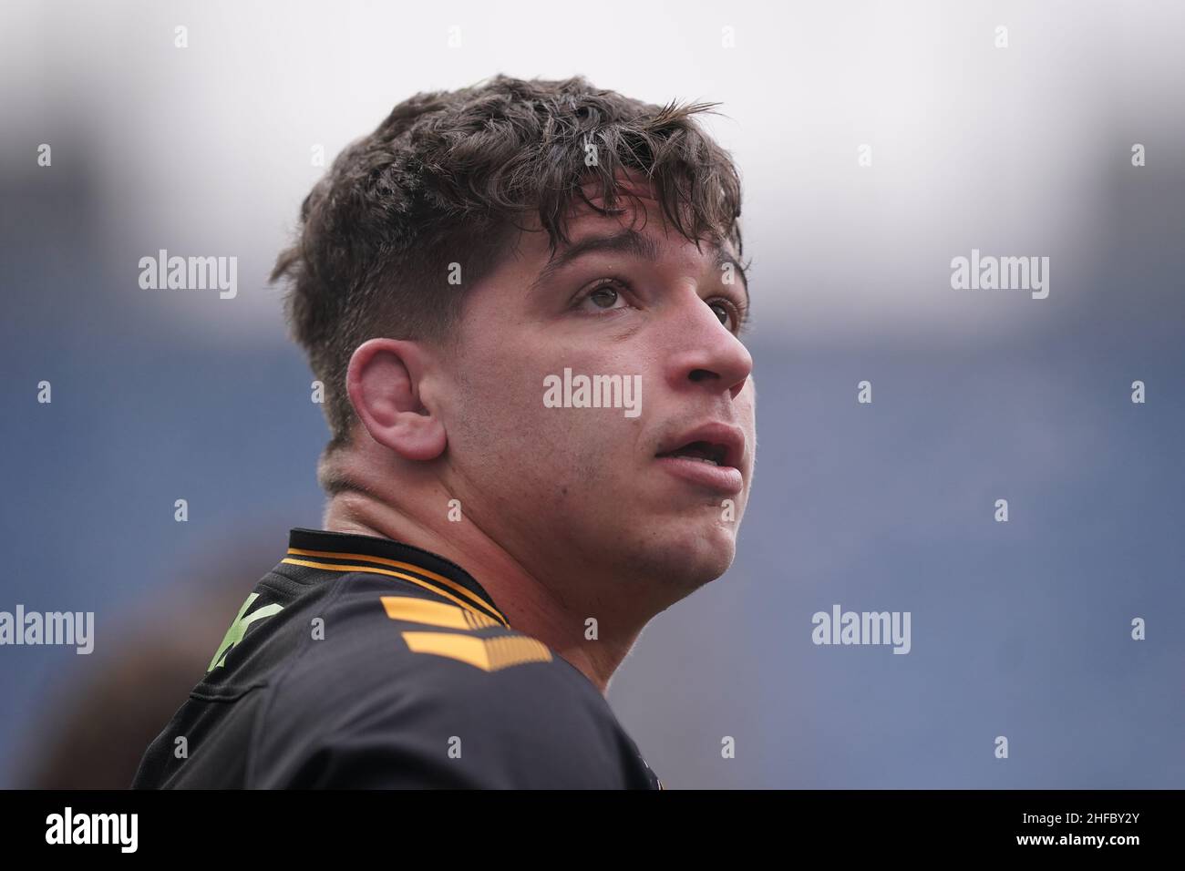 Dan frost wasps hi-res stock photography and images - Alamy