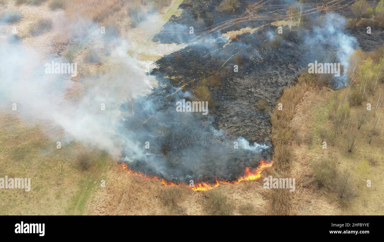 4K Aerial View Spring Dry Grass Burns During Drought Hot Weather. Bush ...