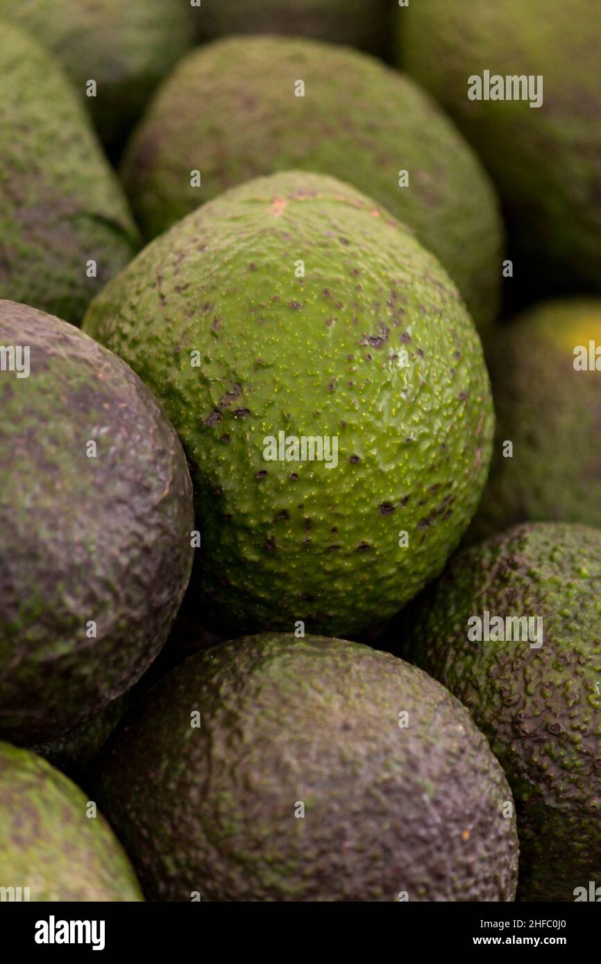 Aguacate tropical hi-res stock photography and images - Alamy