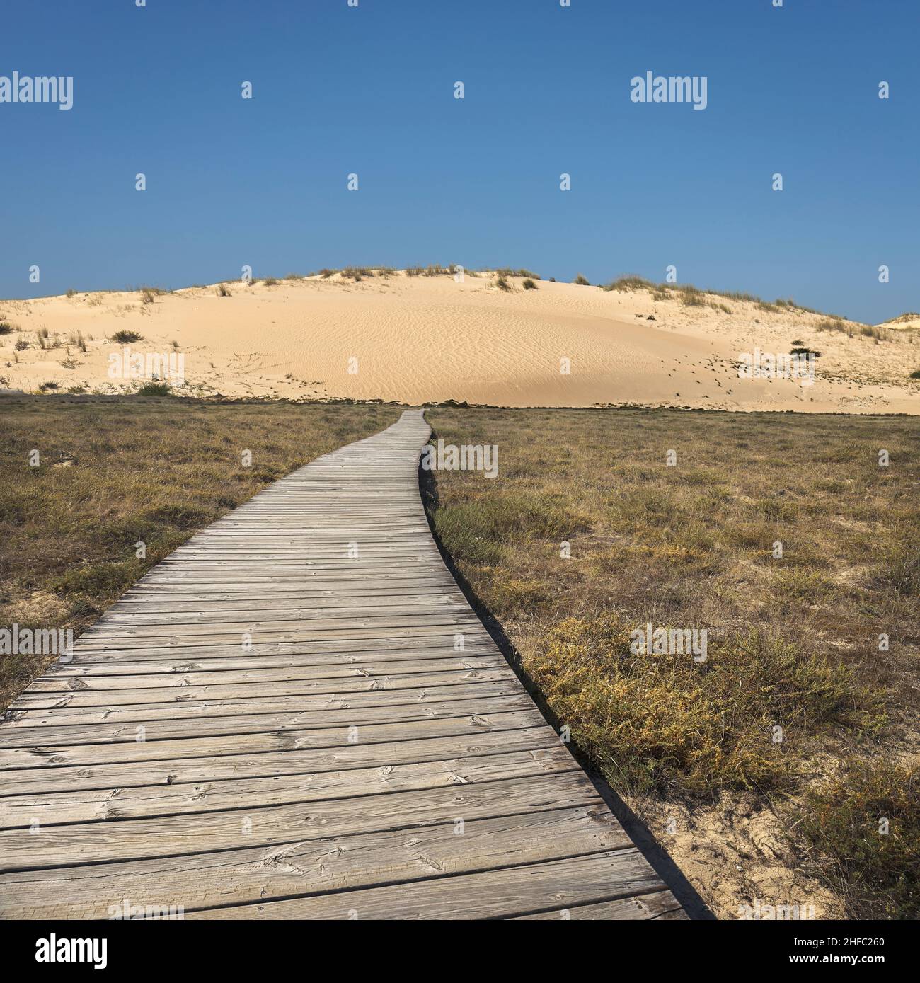 Shifting Sand Dunes Natural Park in Corrubedo, Galicia, Spain Stock ...