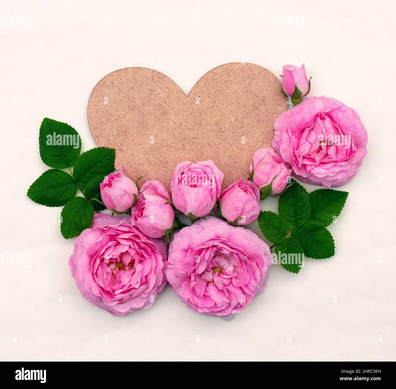 Greeting card colorful roses hi-res stock photography and images - Alamy