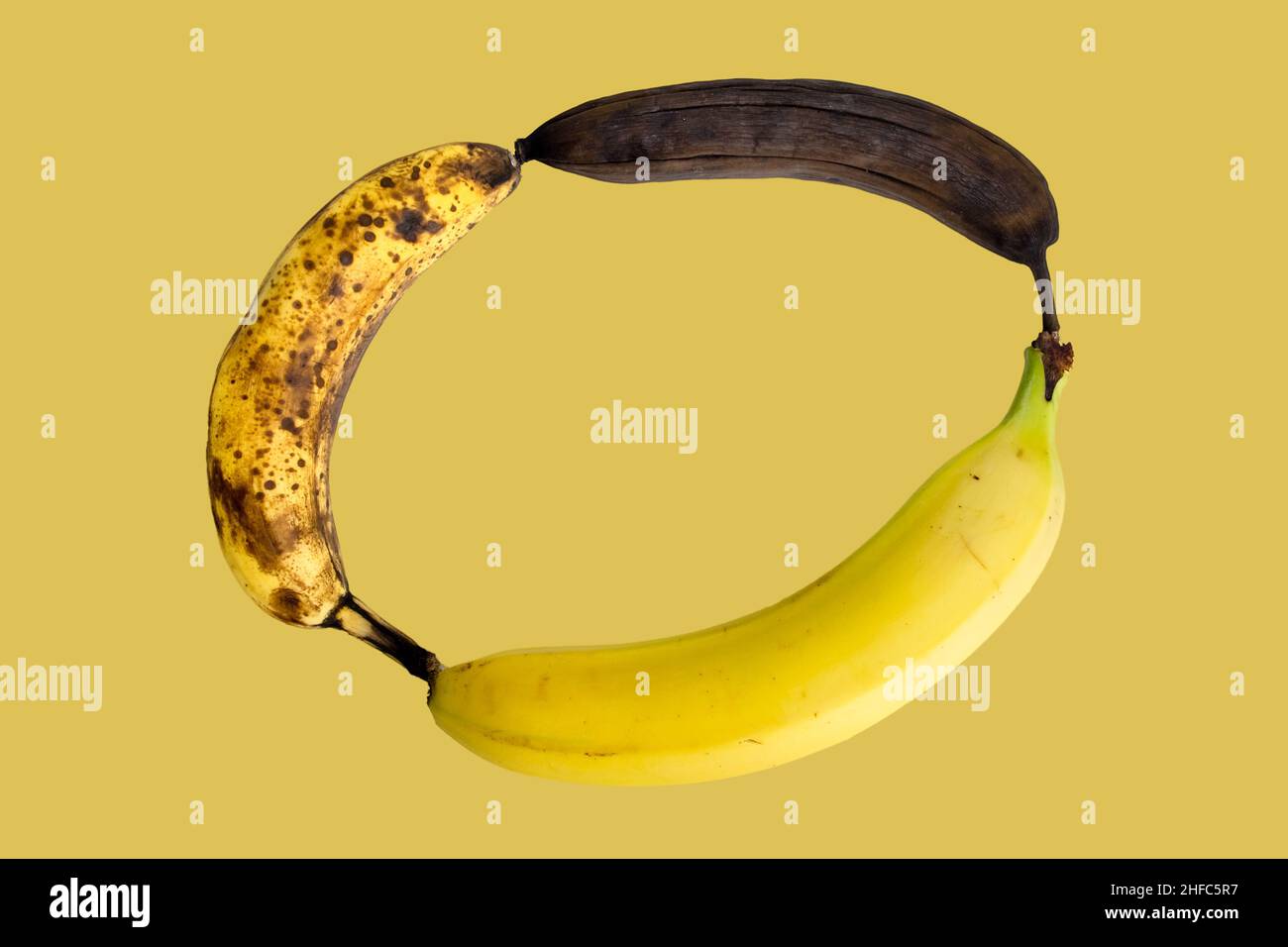Banana ripeness level, from fresh to rotten on yellow background Stock ...