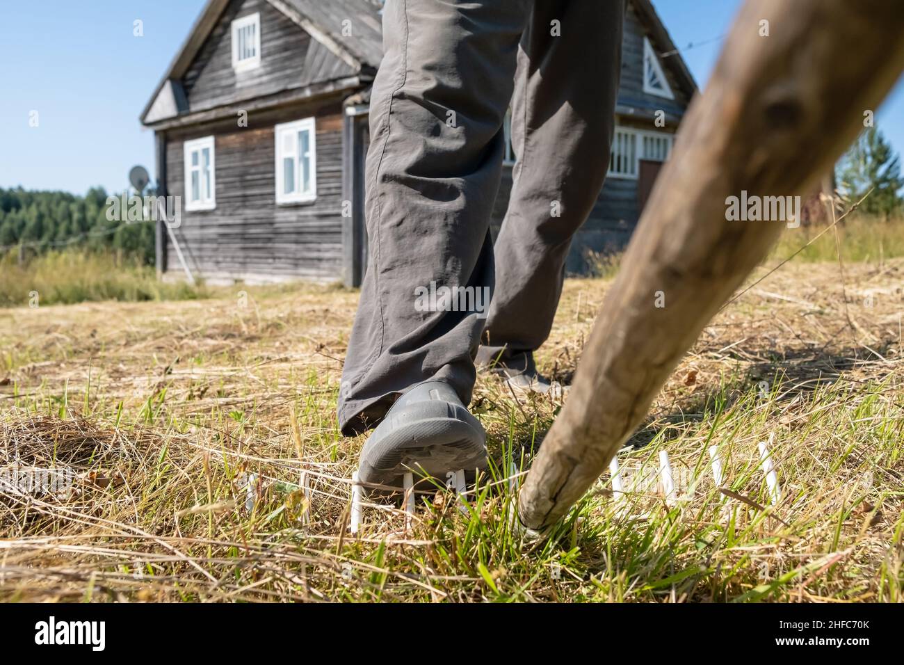 Leg of a careless, inattentive man steps on a rake, which can lead to ...
