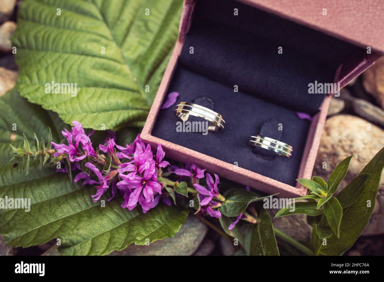 Top view of wedding rings in the box Stock Photo - Alamy