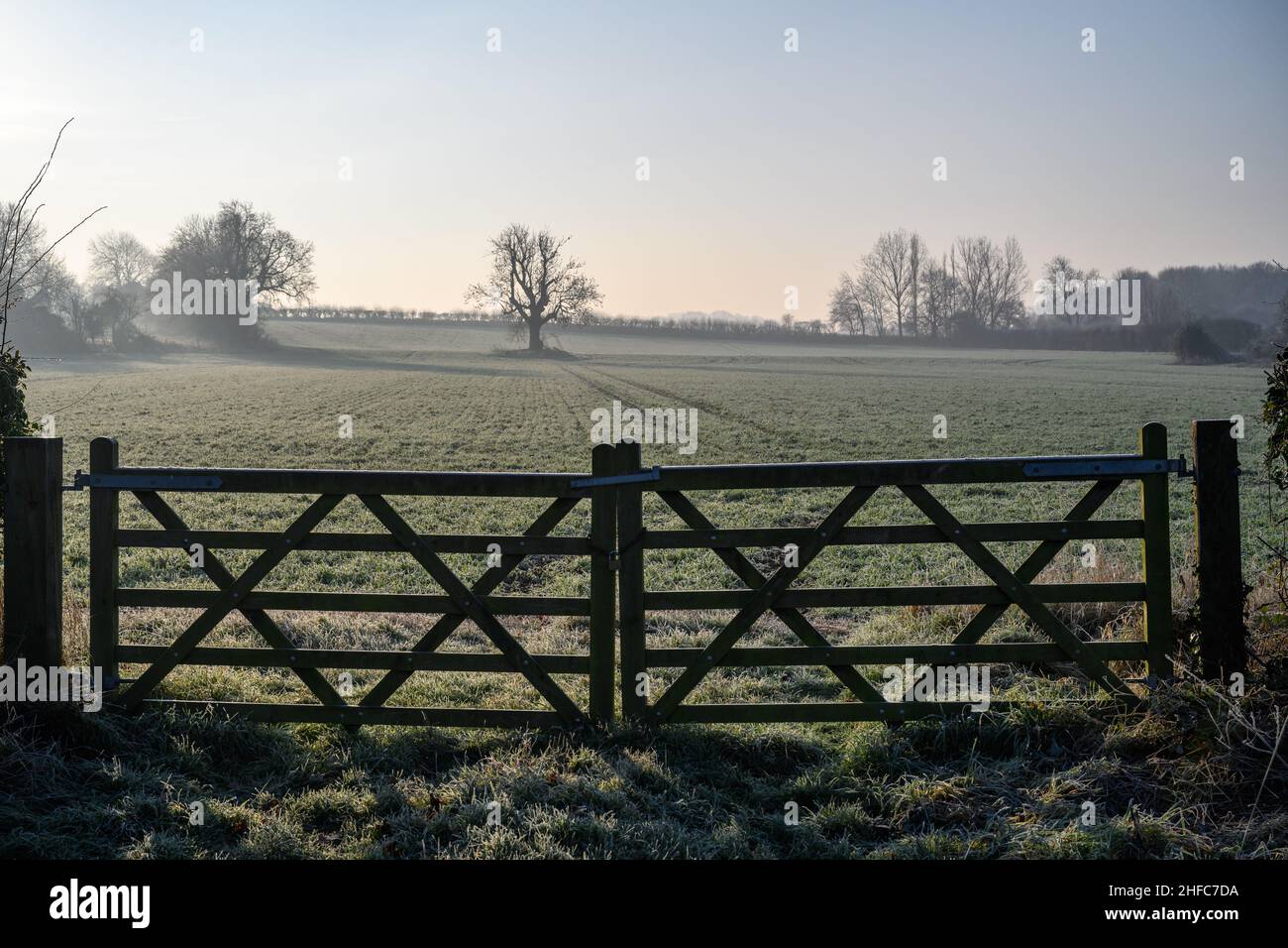Beautiful scenic view trees gateway hi-res stock photography and images ...