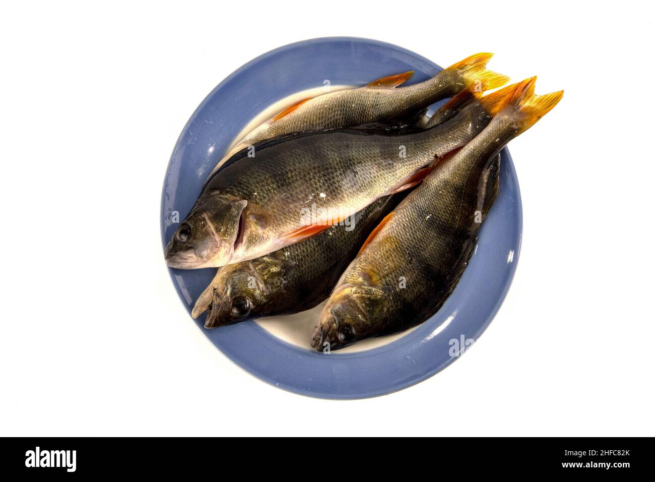 Freshwater fish. River perch in a plate isolated on white Stock Photo ...