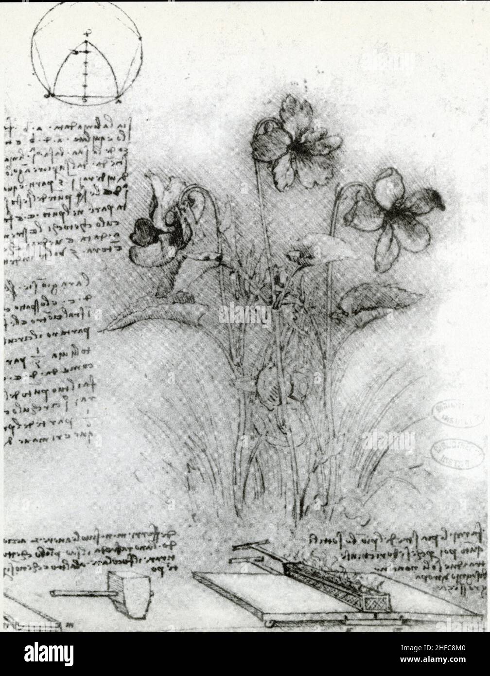 LEONARDO DA VINCI. STUDY OF VIOLETS AND WELDING METHODS, CIRCA 1487 ...