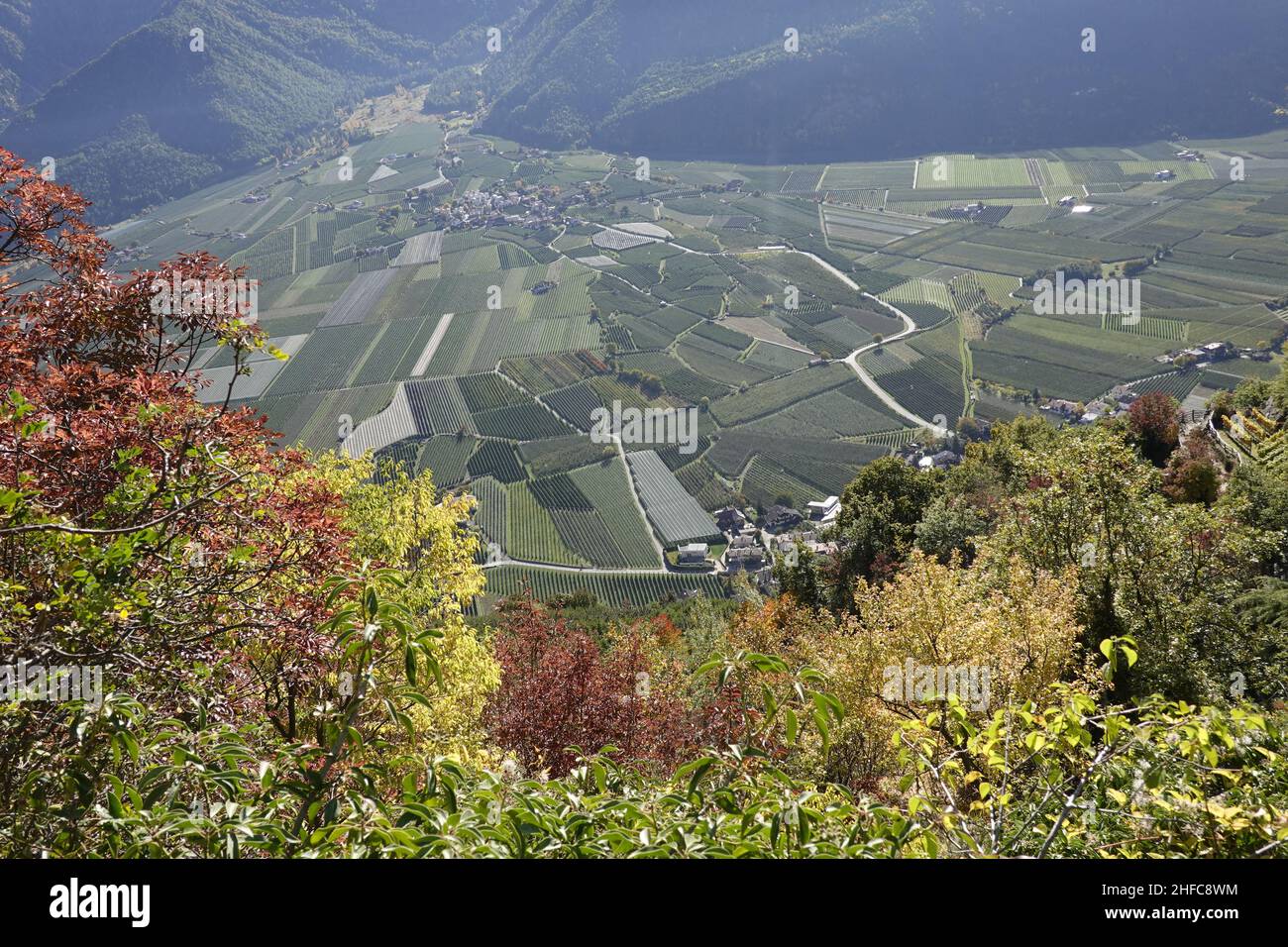 Aerial view of the orchards of Adige valley, South Tyrol, Italy Stock ...