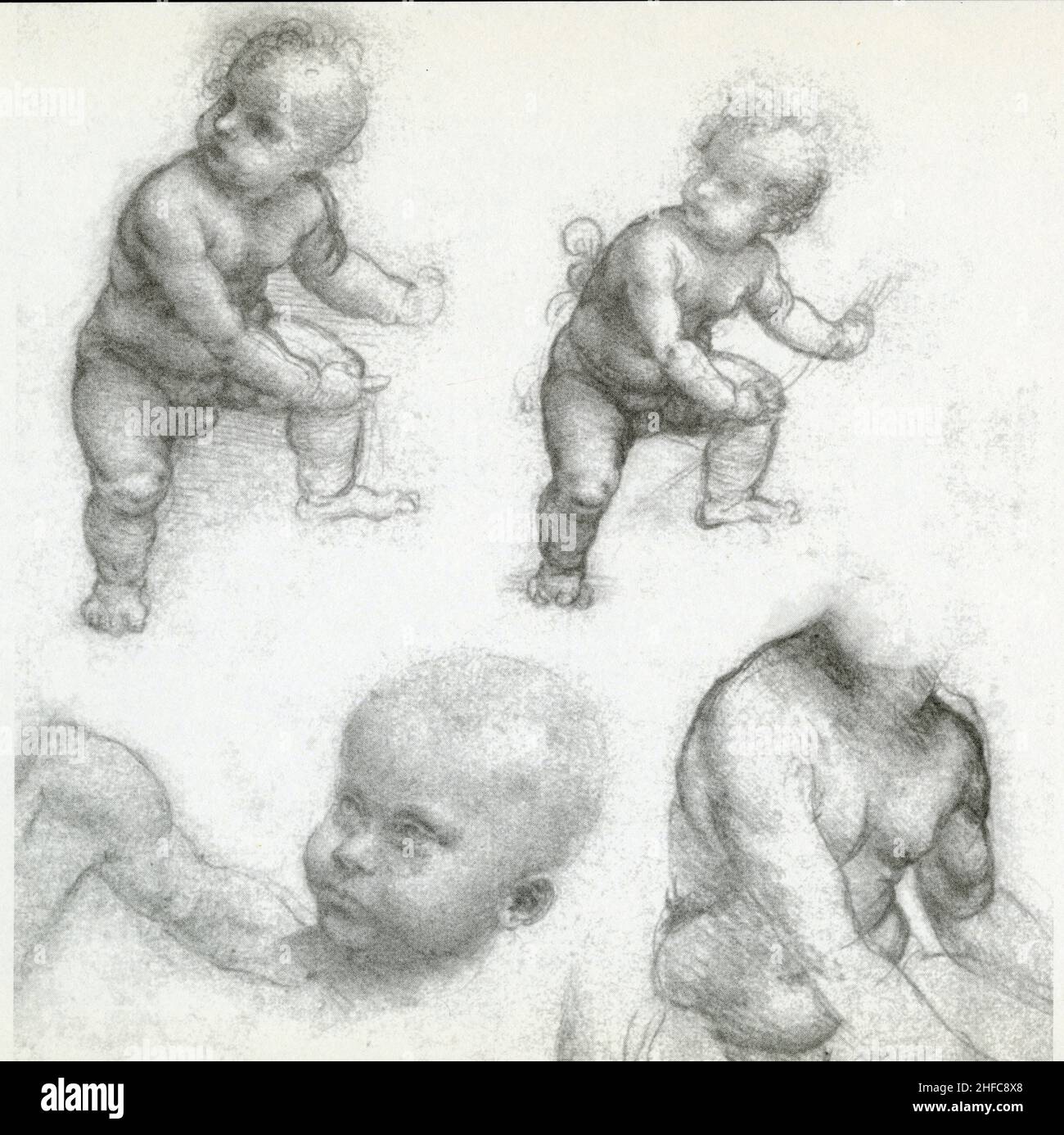 Red chalk drawing leonardo da vinci hi-res stock photography and images ...
