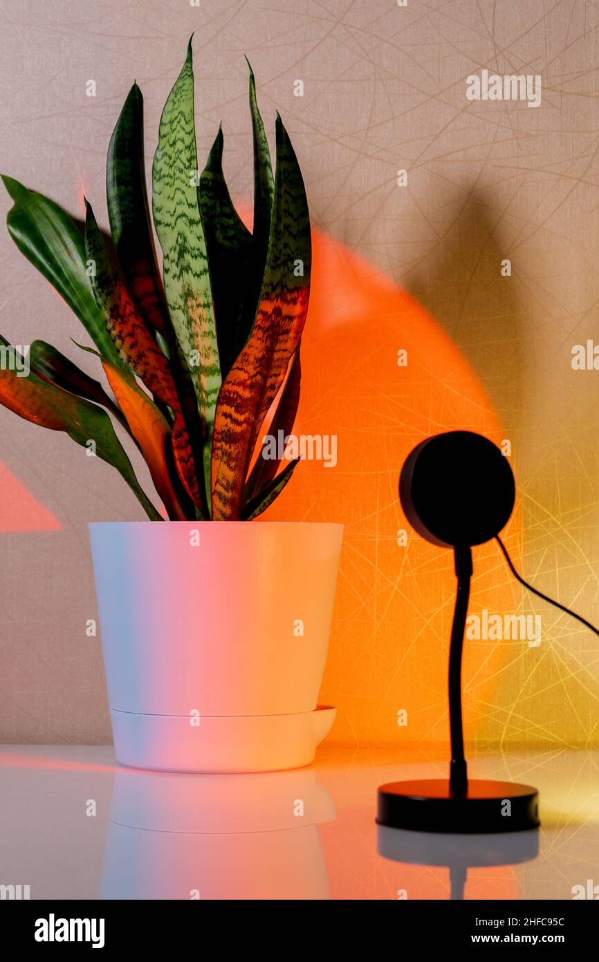 Multi screen projection hi-res stock photography and images - Alamy