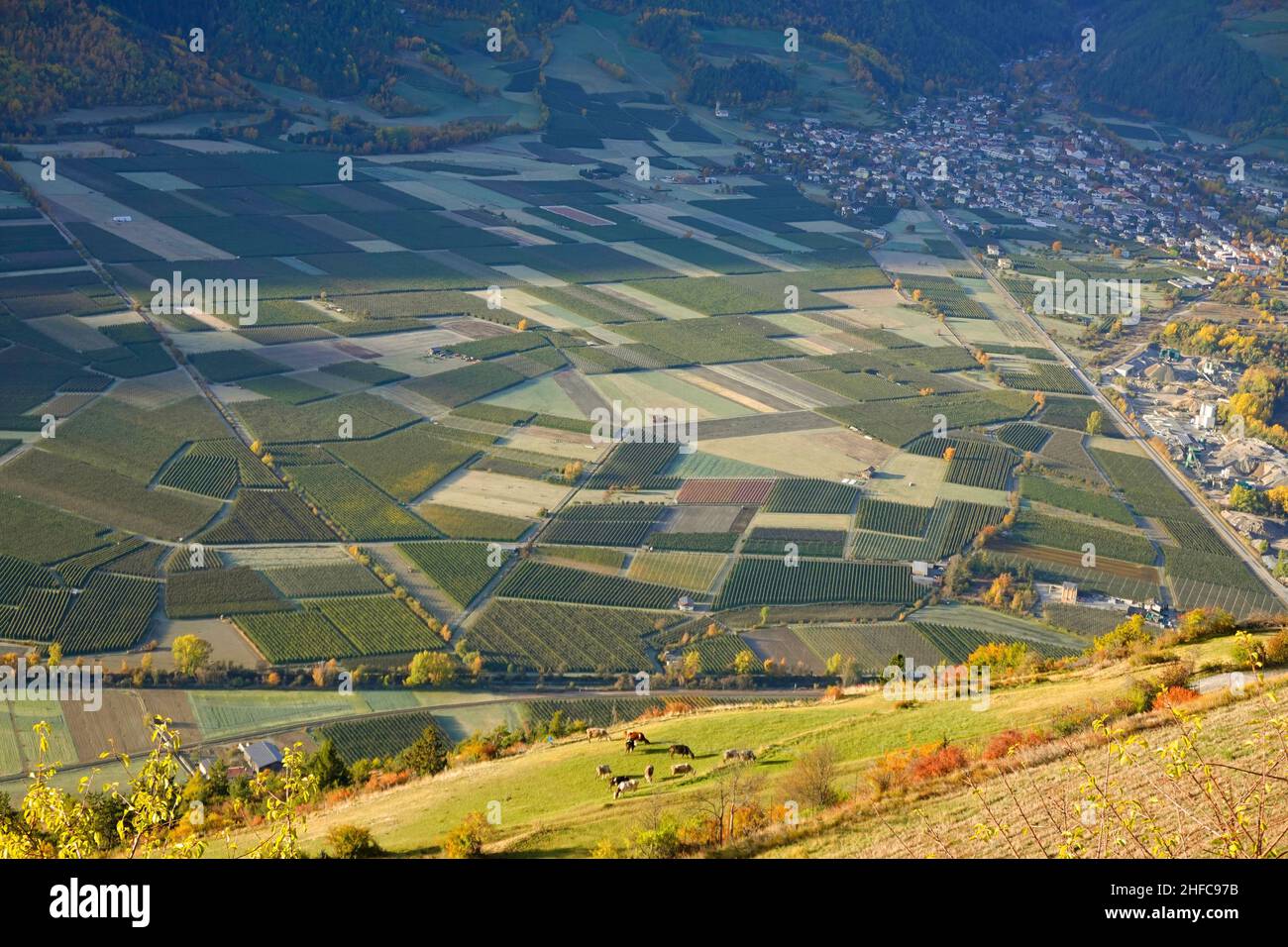 Aerial view of the orchards of Adige valley, South Tyrol, Italy Stock ...
