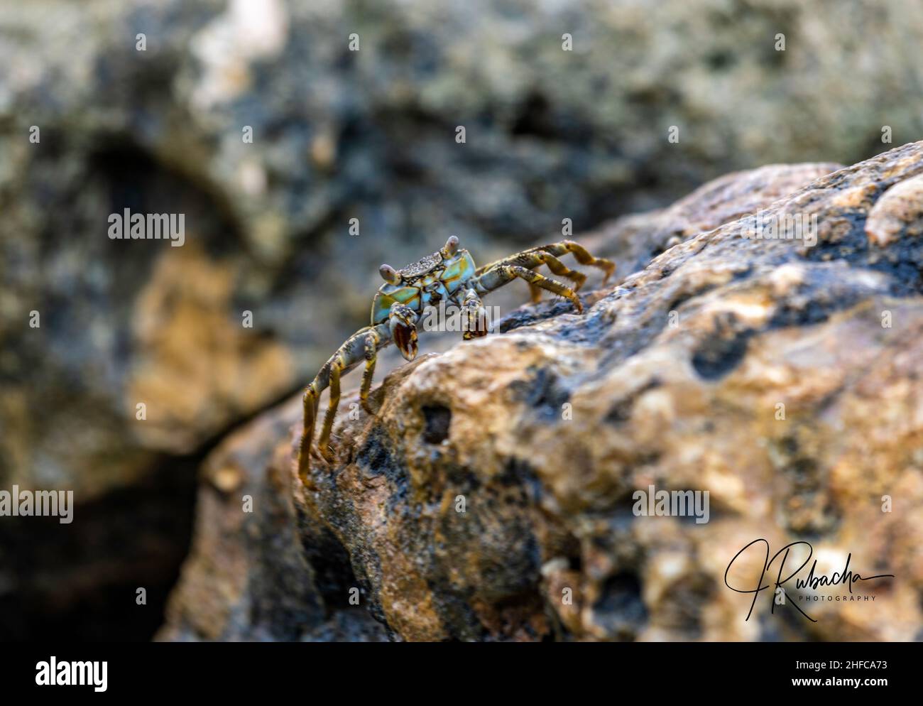 Aruba jetty hi-res stock photography and images - Alamy