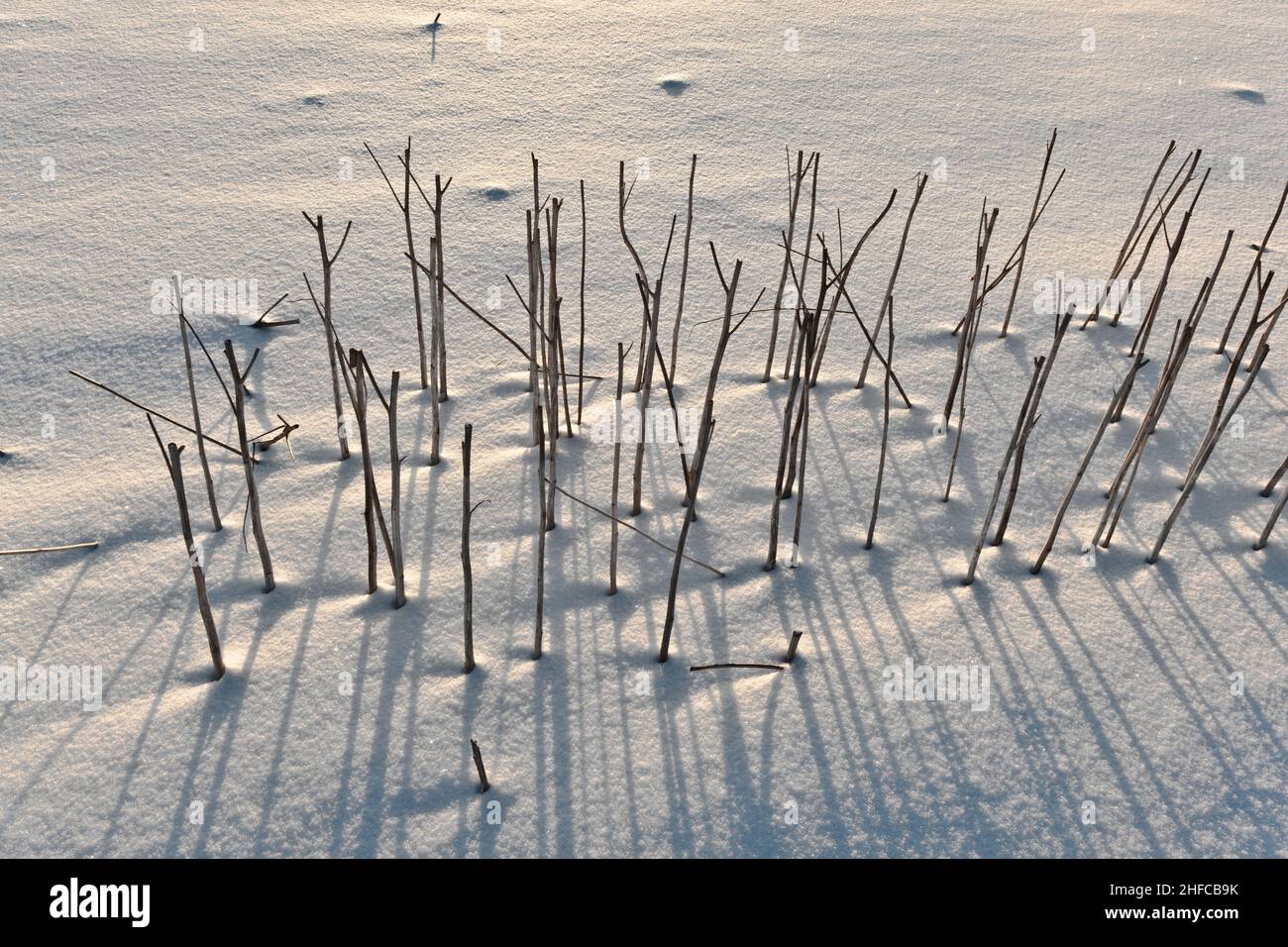 shadow of halm on snow covered field gives a harmonic structure Stock ...