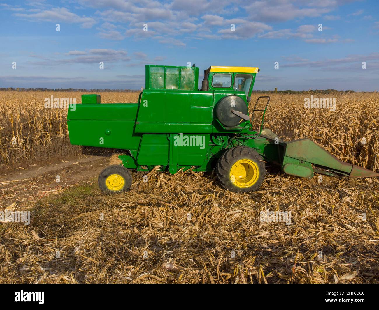 Green combine threshes corn in the field Stock Photo - Alamy