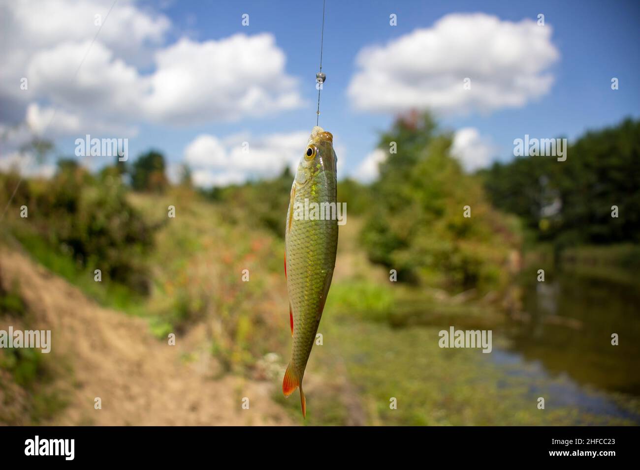 Gossip lake hi-res stock photography and images - Alamy
