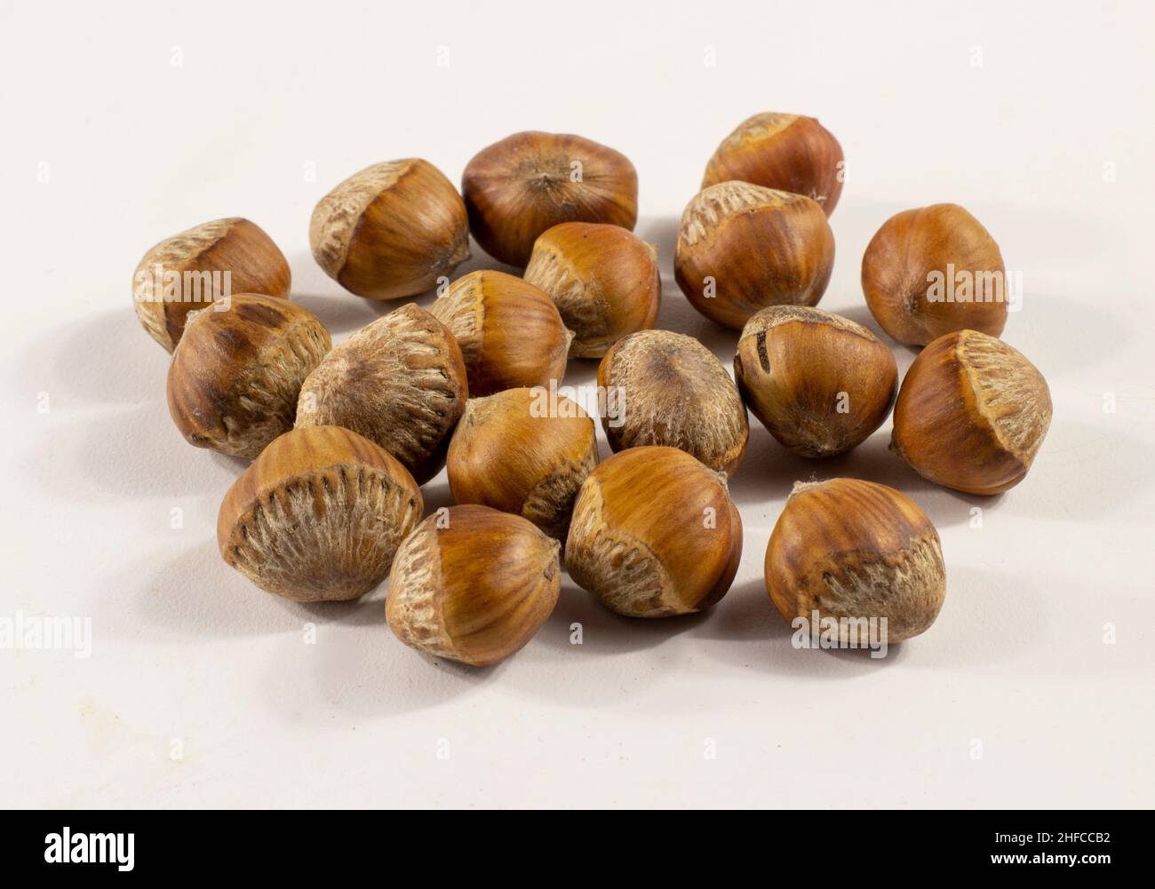 Bunch of hazelnuts isolated on white Stock Photo - Alamy
