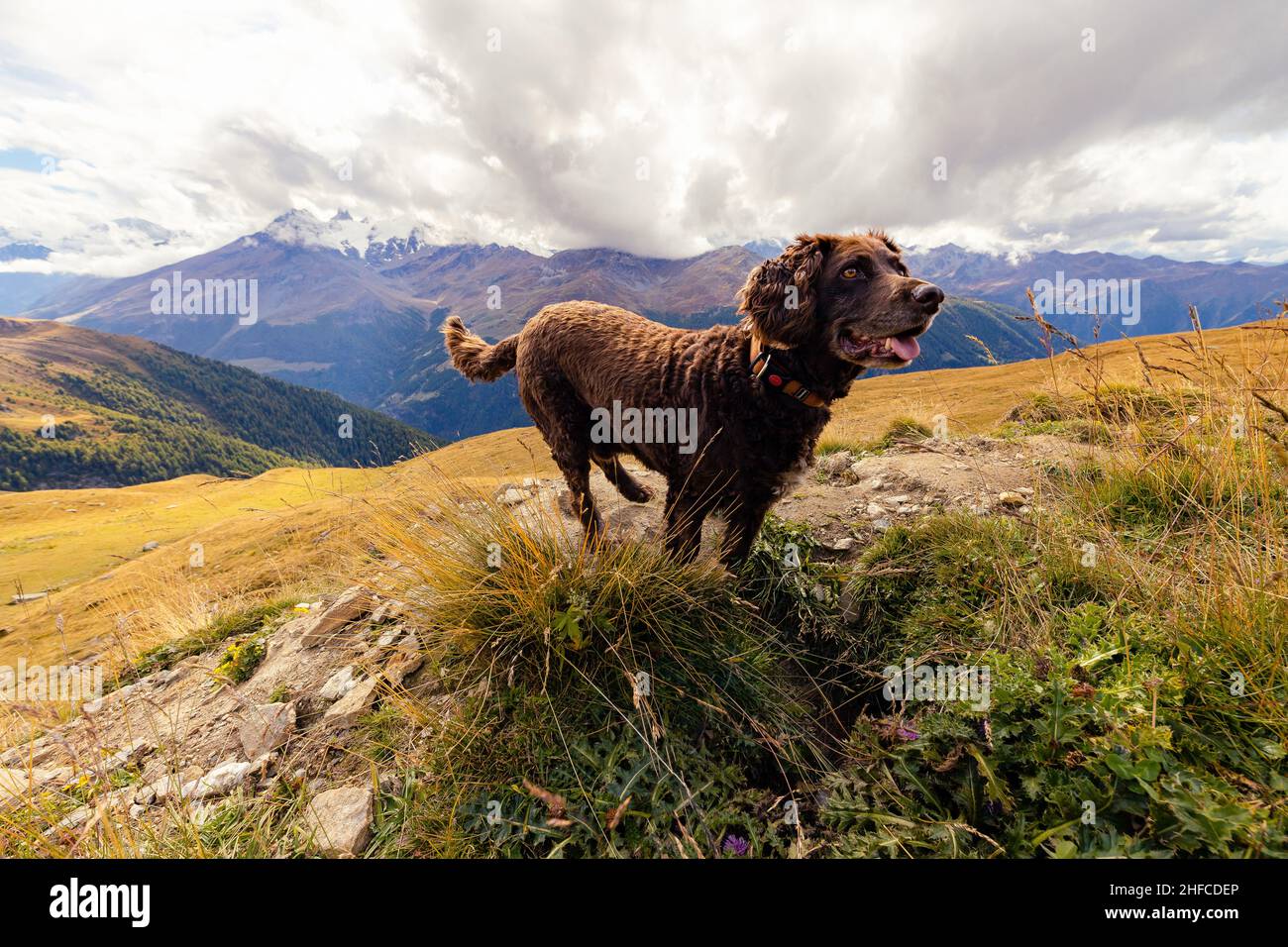 Hike scenery hi-res stock photography and images - Alamy