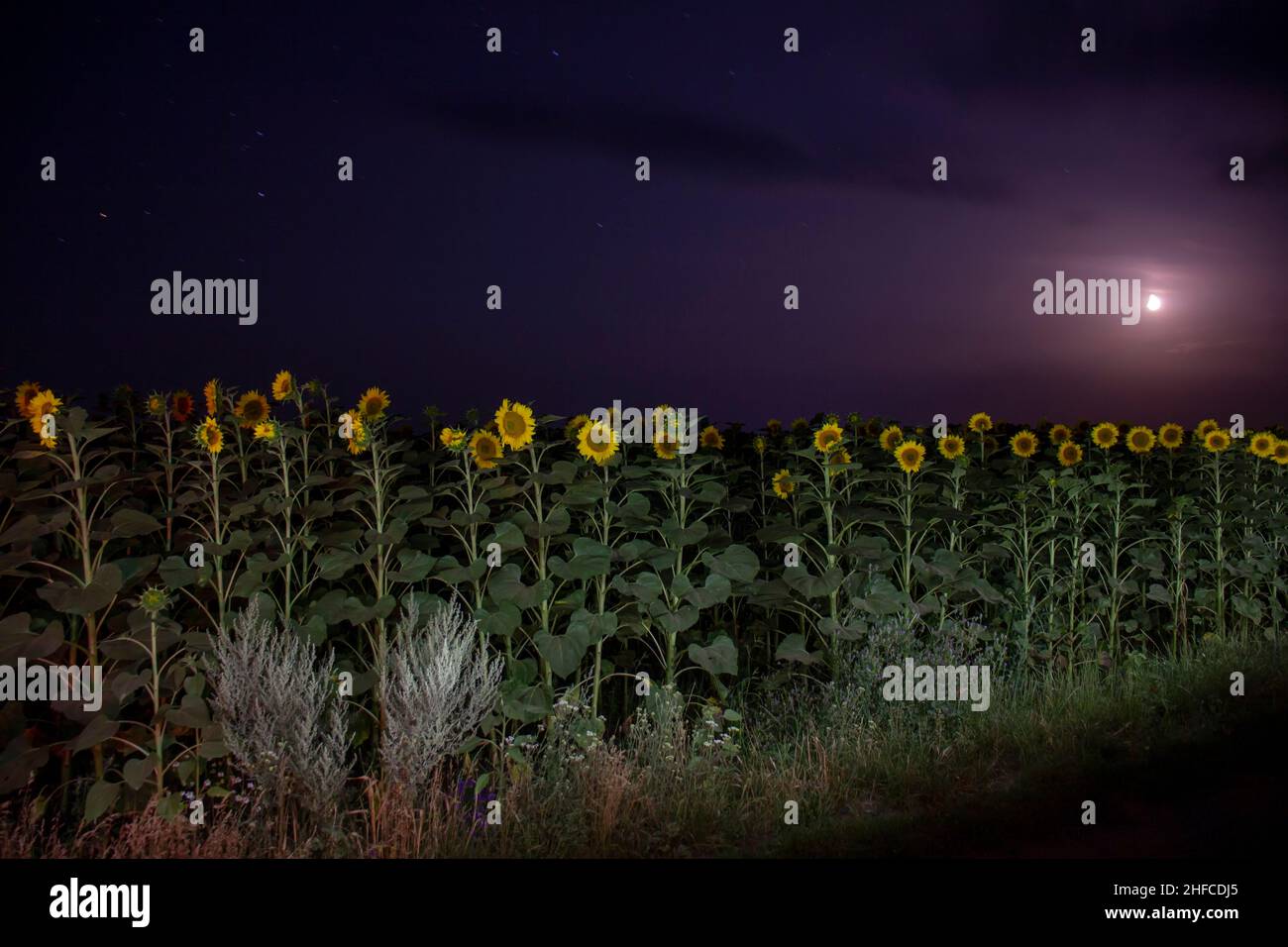 Stages of solar eclipse hi-res stock photography and images - Alamy