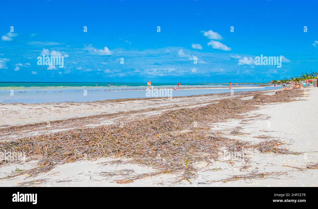 Holbox Mexico 22. December 2021 Panorama landscape view on beautiful ...