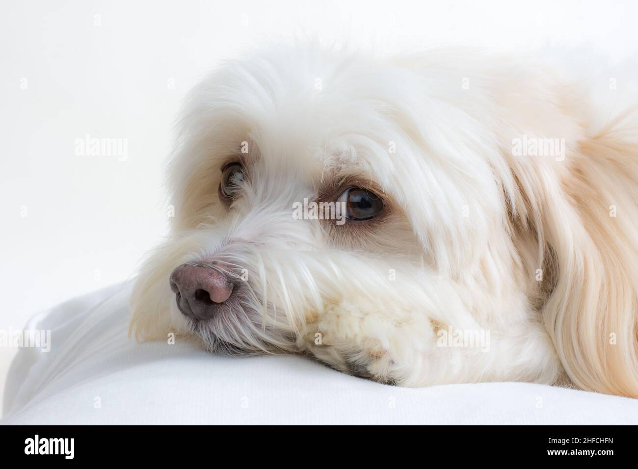 Entspannt hi-res stock photography and images - Alamy