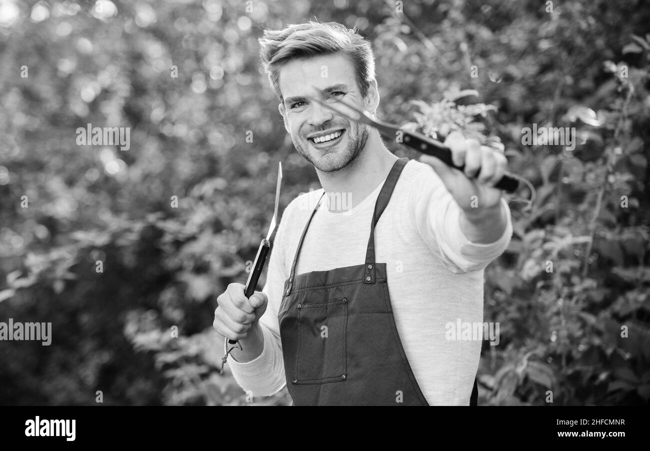 Tools for roasting meat outdoors. Barbeque party. Cooking burgers ...