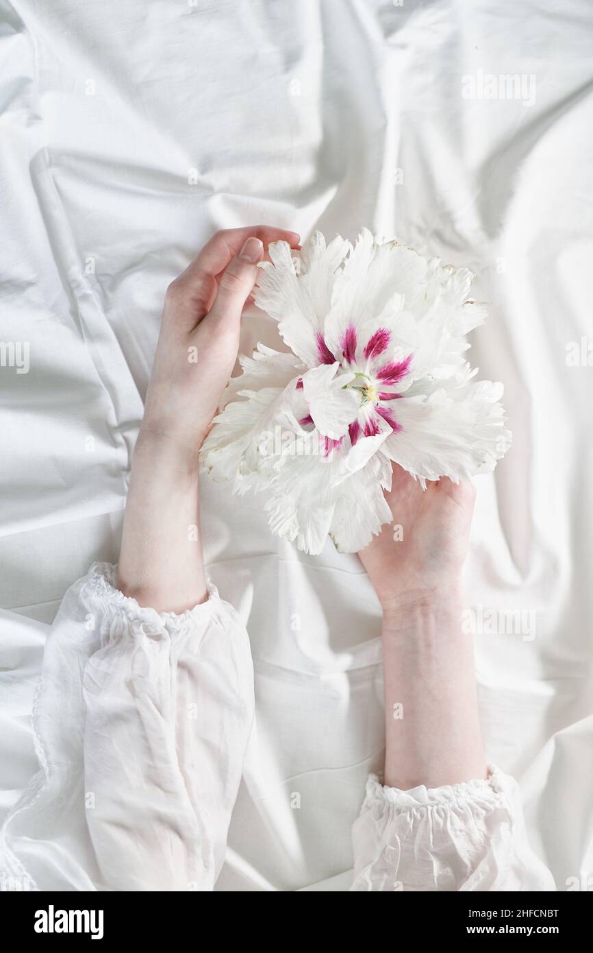 Creative floral greeting card. Beautiful spring aesthetics concept ...