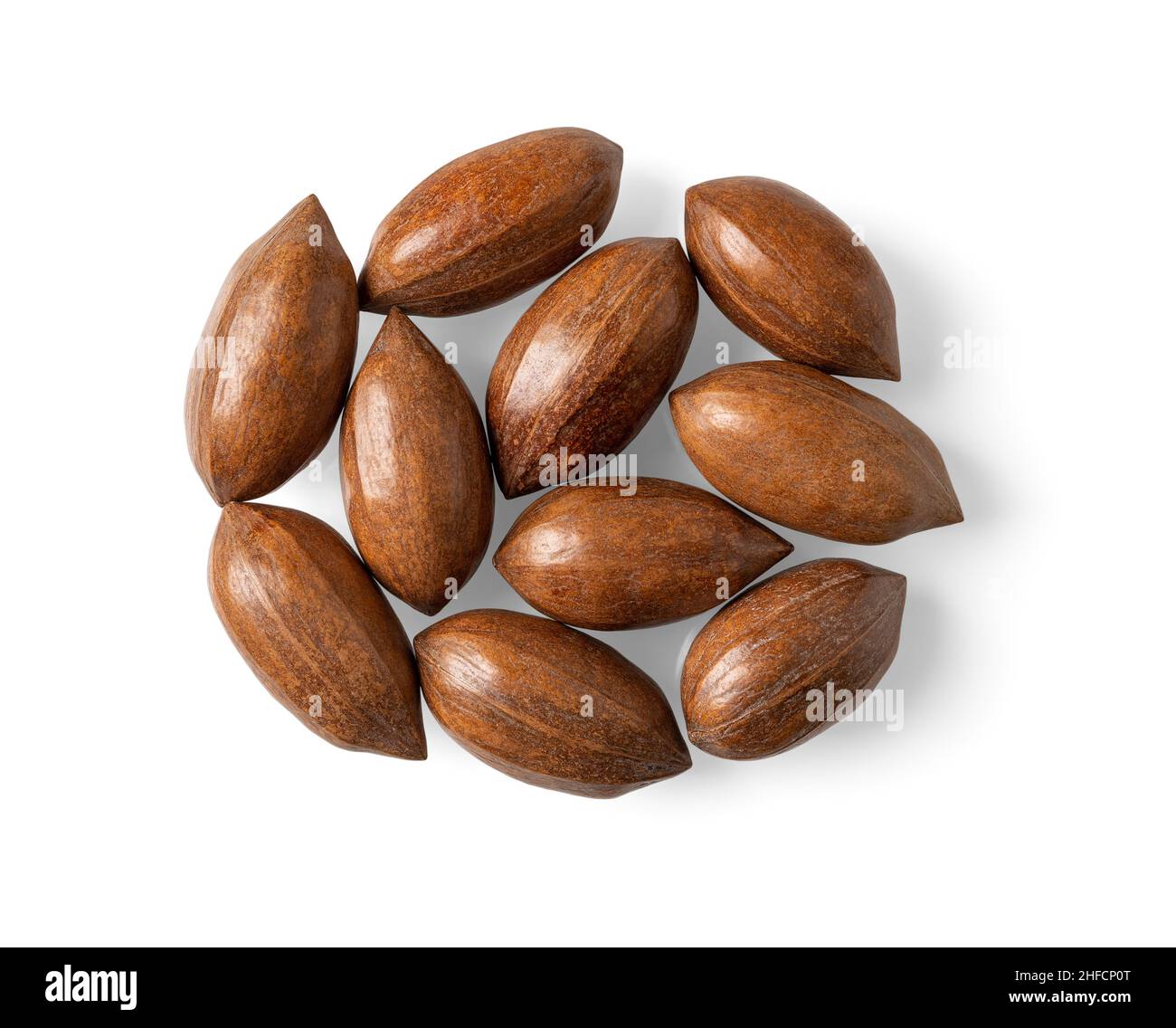 Pecan tree Cut Out Stock Images & Pictures - Alamy