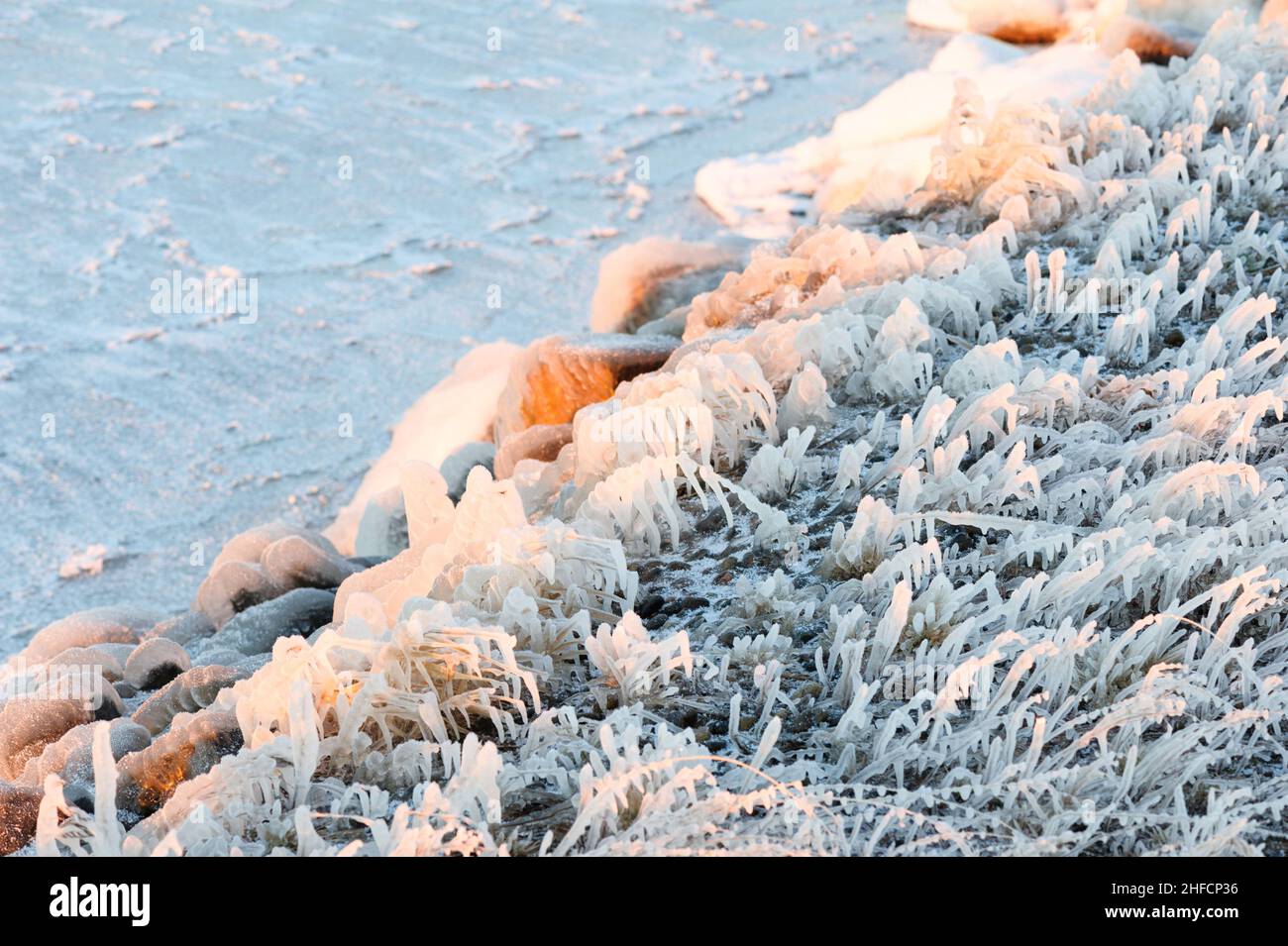 Ice covered grasses and rocks Stock Photo - Alamy