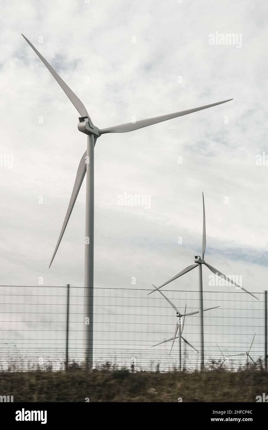 This photo shows wind turbines, standing in the middle of farmland ...