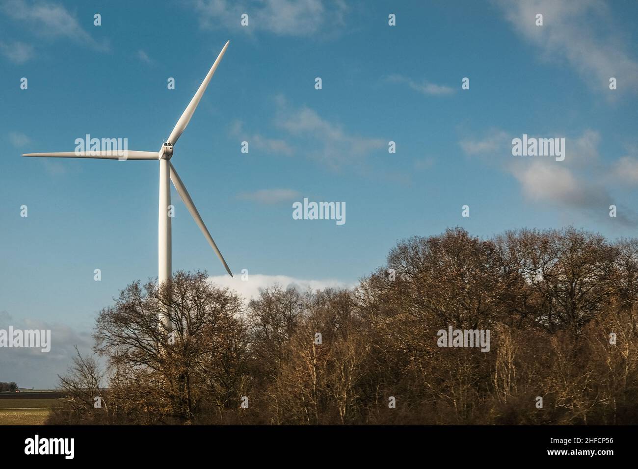 This photo shows wind turbines, standing in the middle of farmland ...