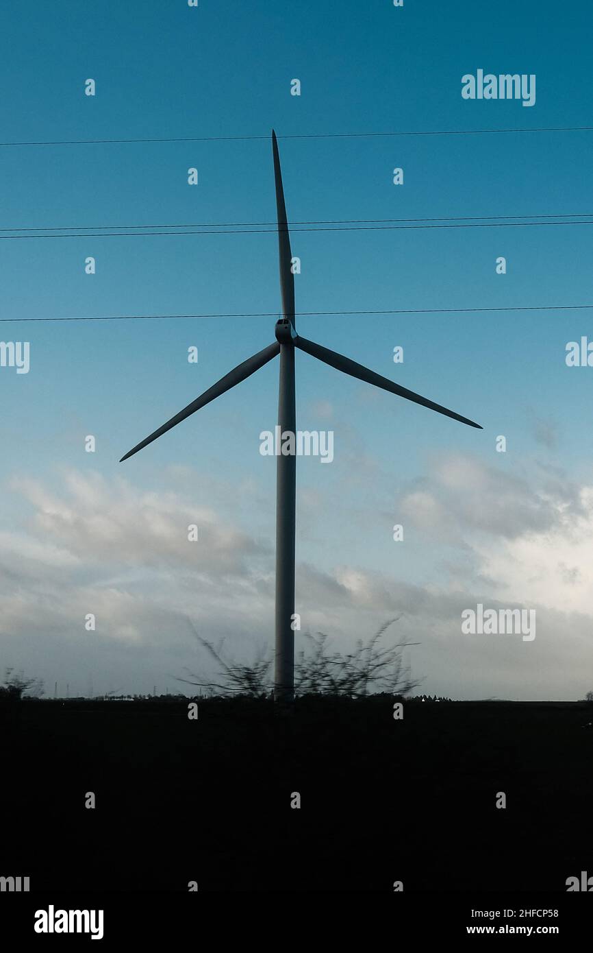 This photo shows wind turbines, standing in the middle of farmland ...